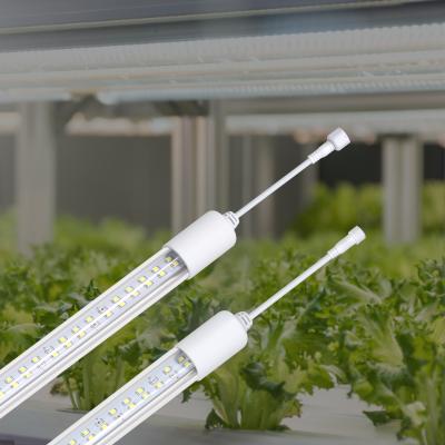 Cina IP65 luce progressiva completa di spettro LED per la crescita idroponica della pianta della fioritura e di Veg in vendita