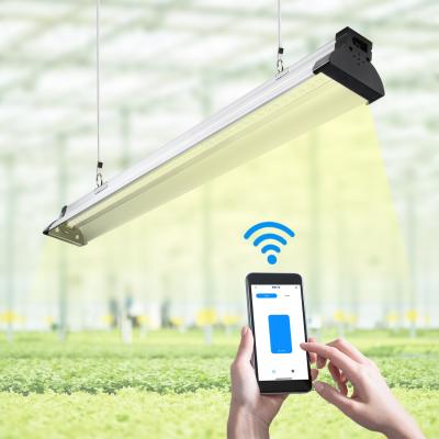 China Le luci astute 6400K 12W PWM della pianta principali coltivano le luci progressive idroponiche di luce del giorno della lampada 110v 220v for sale