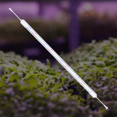 Cina Luci progressive complete di spettro LED della serra per le piante d'appartamento con Daisy Chain in vendita
