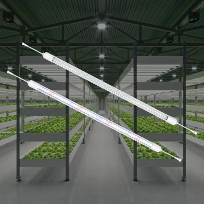 Cina Lampada piena impermeabile della pianta di spettro della luce progressiva 6400K 9000K di Antivari IP65 LED in vendita