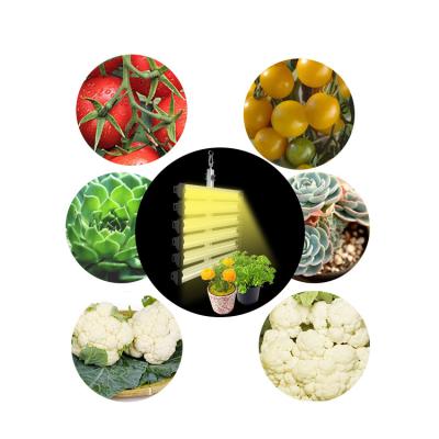 Cina Luci principali d'agricoltura dell'interno complete delle luci progressive 4424lm di spettro LED di VEG AC265V in vendita