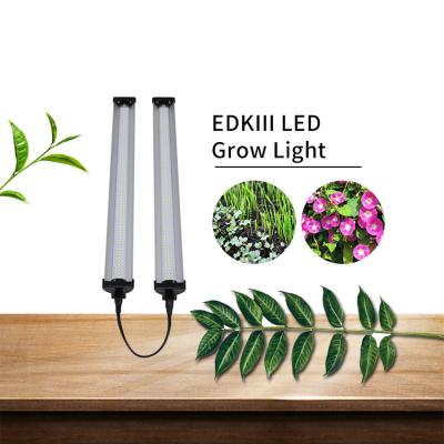 Cina Luci progressive complete sostenibili di spettro LED di coltivazione 6000K per le piantine di verdure in vendita