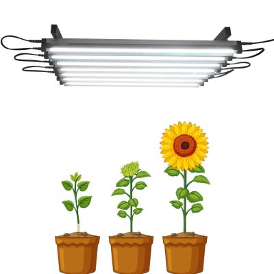 Китай 120V/220V 4 FT T5 дневные растут белое электрических лампочек крутое для растя заводов продается