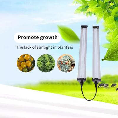 Cina luci progressive complete di spettro LED del sistema economizzatore d'energia di controllo di qualità 54W per le piante d'appartamento in vendita