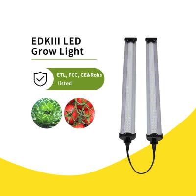 Cina Luci progressive complete 120lm/w di spettro LED del rinforzatore della fioritura per coltivazione domestica del Hobbyist in vendita