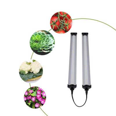 Cina 7652 verticale di Aeroponic 5FT del lume 54W che coltiva le luci progressive principali per le piante da appartamento in vendita