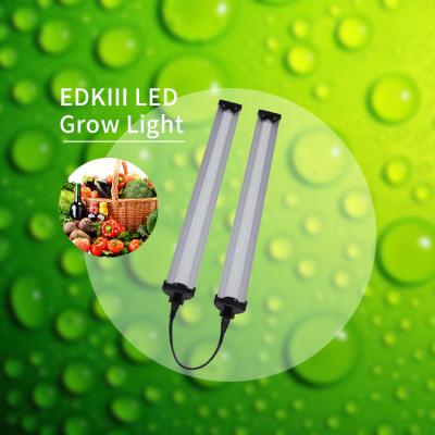 Cina 7652 verticale di Aeroponic 5FT del lume 54W che coltiva le luci progressive principali per le piante da appartamento in vendita