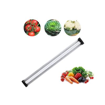 Cina Lle luci progressive da 4 piedi T5, lampadine piene della luce progressiva di spettro per il sistema di coltura idroponica in vendita