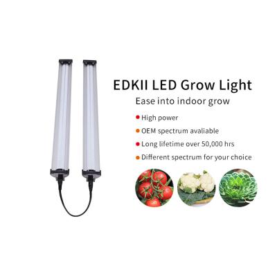Cina Lle luci progressive da 4 piedi T5, lampadine piene della luce progressiva di spettro per il sistema di coltura idroponica in vendita