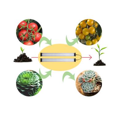 Cina Lle luci progressive da 4 piedi T5, lampadine piene della luce progressiva di spettro per il sistema di coltura idroponica in vendita