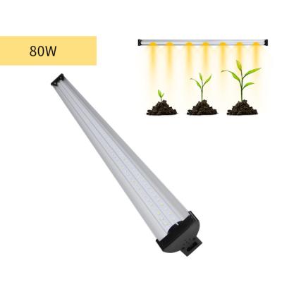 Cina Le lampadine piene verticali delle luci progressive di spettro LED della tenda 39W del giardino l'agricoltura di ortaggio da frutto in vendita