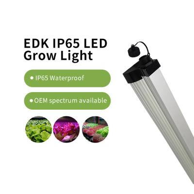 Cina Lo spettro completo 2ft agricolo ha condotto la vita della luce progressiva 120lm/W 50000hours in vendita