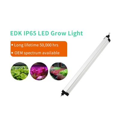 Cina Illuminazione principale impermeabile del giardino dell'interno della striscia IP65 della luce progressiva di spettro completo in vendita