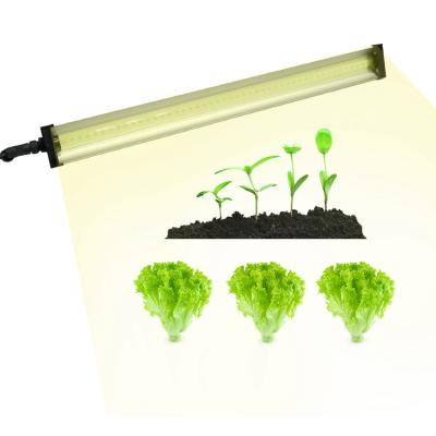 Cina luci principali d'agricoltura dell'interno 36W in vendita