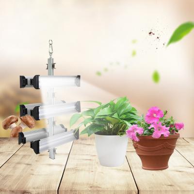 Cina Lo spettro completo d'agricoltura dell'interno 50000hours ha condotto le lampadine della luce progressiva rispettose dell'ambiente in vendita