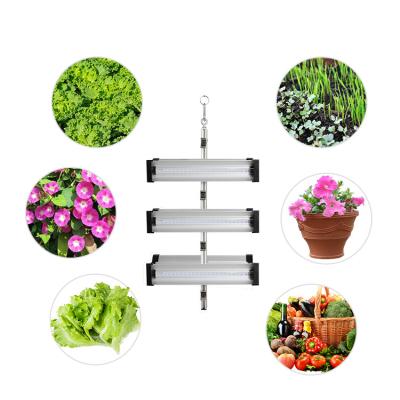 Cina Le luci progressive principali d'agricoltura verticali IP65, ciclo completo hanno condotto le lampadine di luce del giorno per le piante in vendita