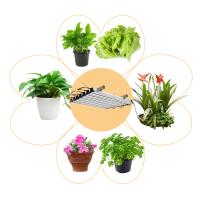 China 135lm/W Horticulture Led Grow Lights for sale