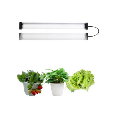China A morango SMD2835 cresce clara, a ampola 48W hidropônica para a germinação da semente à venda