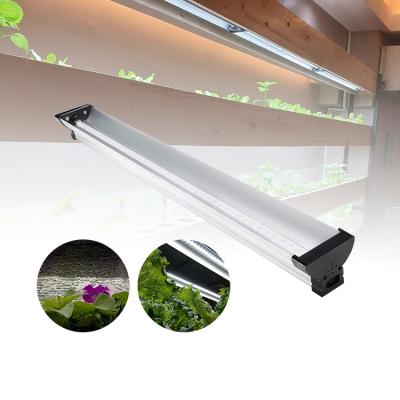 China Hohe Leistung Aeroponic wachsen Zelt-Lichter, 6000K, das 2 Ft geführt Glühlampe wachsen zu verkaufen