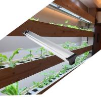 China FCC Tabletop Grow Lights for sale