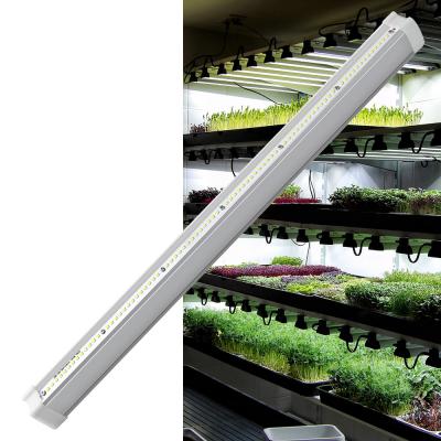 Cina La fragola impermeabile della lattuga della luce progressiva di spettro completo LED idroponica coltiva le lampade in vendita