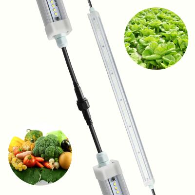 Cina luci idroponiche LED di agricoltura impermeabile della luce progressiva 32W di 4ft in vendita