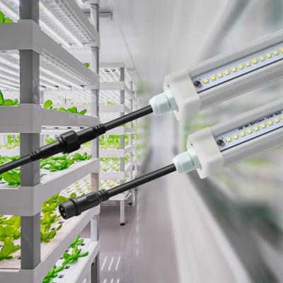 Cina luce progressiva impermeabile 150 Lm/W di 40W LED con la funzione di dissipazione di calore in vendita