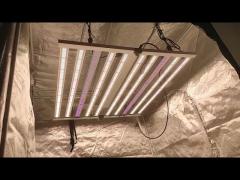 Spectrum High Power LED Grow Lights For Vegetable Seedlings