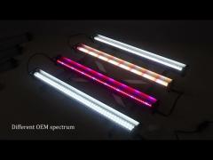 12W Vertical Farming Led Grow Lights For Strawberry Fruit