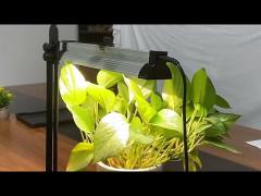 Vertical EDK Adjustable Grow Light Stand For Potted Plant
