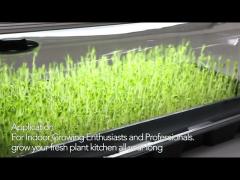 Propagation Tray Nursery Tray LED Grow Light For Seedling
