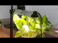 All Season LED Grow Lights Hydroponics 6400K 110LM/W