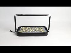 Luci progressive dell‘interno di Herb Garden Kit Mini Plant LED di coltura idroponica per germinazione della scuola materna