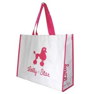 China promotional pp non woven bag for shopping for sale