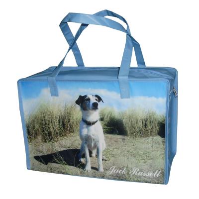 China sell good quality pp woven tote bag for sale