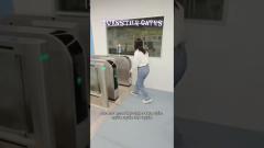 Turnstile gates swing gates #automobile