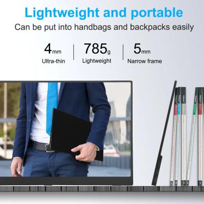 China Portable 17.3Inch Gaming FHD IPS Screen 1080P 4K UHD External USB Touchscreen Display for sale