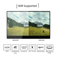 China 16Inch Extra Panel IPS LCD Laptop Extra Screen For Laptop Portable for sale