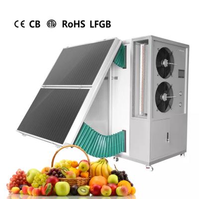 Cina Acciaio inossidabile dell'essiccatore 304 più asciutti a energia solare della frutta secca delle verdure in vendita