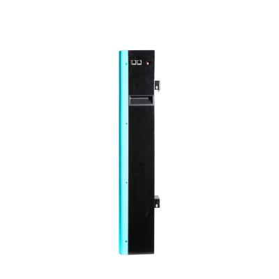 Cina 48V litio Ion Powerwall della batteria 10KWH di capacità elevata Lifepo4 in vendita