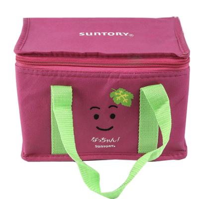 China 50x2.5cm 6 pode sacos isolados relativos à promoção do almoço de 2mm EPE 80gsm à venda