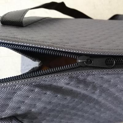 China 25KG geïsoleerde Koelere Zak Te koop