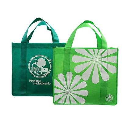 China 160gsm Foldable Non Woven Bag for sale