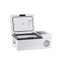 Quality 12L DC 12V Portable Refrigerator/Freezer Compressor Camping Fruit Fridge with for sale