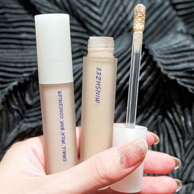 China Hot Liquid Concealer Cover Dark Circles Spots Acne Concealer Pen Natural Makeup Skin Brighten Foundation Cream for sale