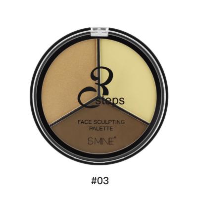 China lovely  Popular Private Label Long Lasting Waterproof Matte 3 Colors Easy Coloring Makeup Highlight Lady's cosmetic for sale