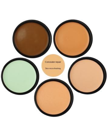 China Best Design New Super Waterproof Color Corrector Private Label Makeup Cream Concealer for sale