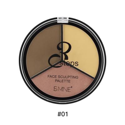 China Popular 3 Colors Easy Coloring Private Label Long Lasting Waterproof Matte Makeup Highlight Lady's cosmetic for sale