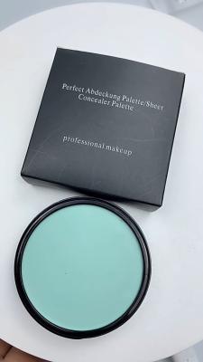 China Best Design New Super Waterproof Color Corrector Private Label Makeup Cream Concealer for sale