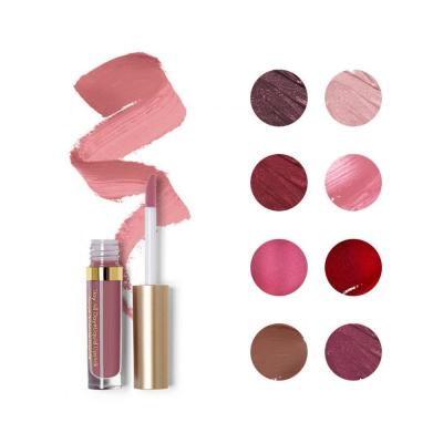 China Hot Liquid Matte 8Pcs Lipstick Set Waterproof Makeup Lip Gloss Comfortable Long-lasting Lipgloss Kit for sale